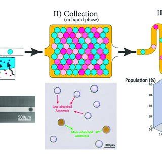 The Mechanism Of The Colorimetric Gas Sensor Suggested By Tirandazi And Download Scientific