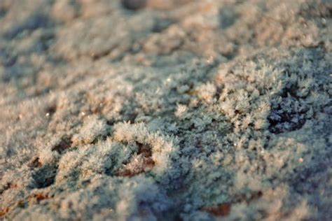 Foto Gratuita Da Vardan · Pexels