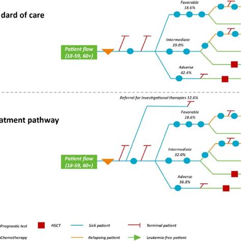 Current Treatment Pathway With The Standard Of Care And Hypothetical