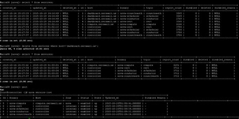 how to delete duplicate service on nova root n rock