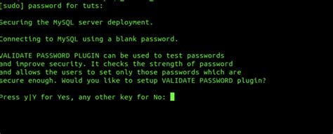 在ubuntu上安装和配置mysql保姆级教程 51ctocom