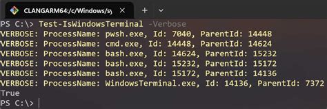 Detecting Windows Terminal With Powershell