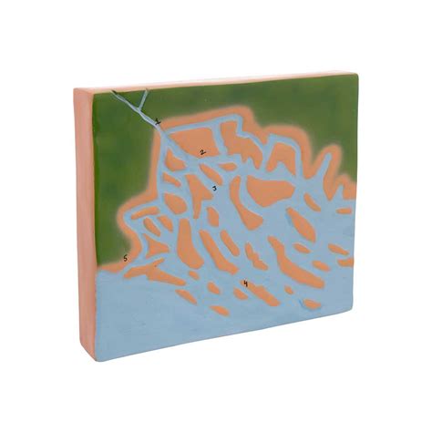 Tides Of Transformation The Deltas Dance Delta Formation