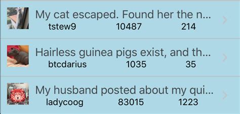 Flexbox Style Subtitle Of Listitem Of React Native Elements Below Avatar Stack Overflow