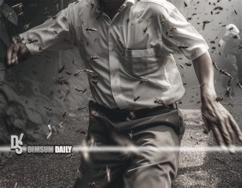 Two Bee Sting Incidents In Tai Wai And Lantau Island In One Day One