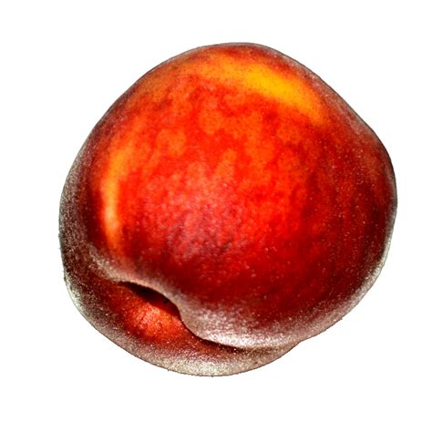 Hiawatha Fruitfool