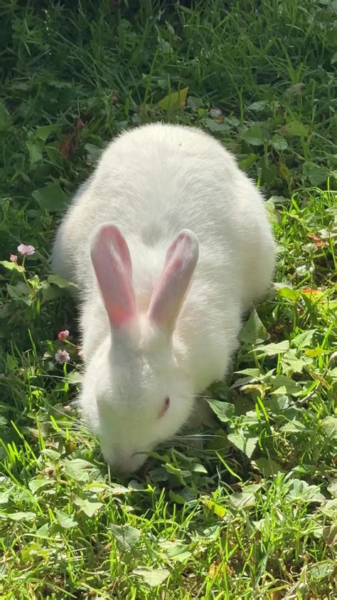 Cute Breasts Videos Download The Best Free 4k Stock Video Footage