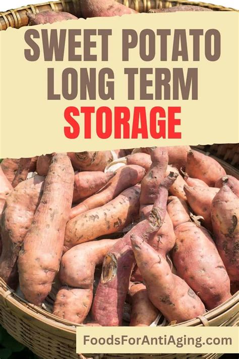 How To Store Sweet Potatoes For The Winter A Complete Guide