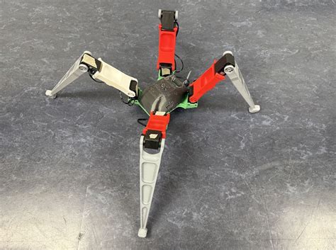 Quadruped Spider Robot Design And Optimization Siyuan Zhang
