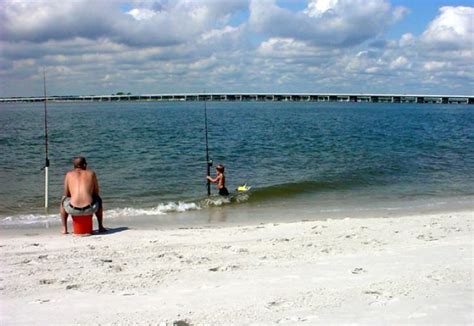 Amelia Island State Park Florida State Parks
