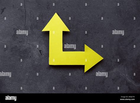 Yellow Arrow Pathway Sign Choices Future Life With Different Direction Symbol Business Success