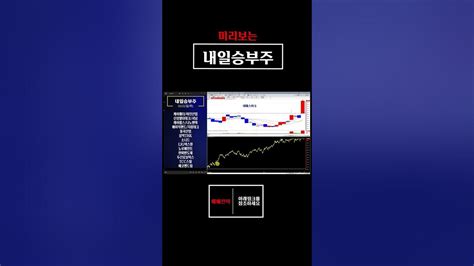 미리보는 내일승부주 10선 Youtube