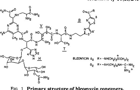 Figure 1 From Reaction Of Co I 1 Bleomycin With Dioxygen