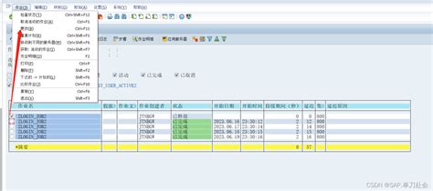 sap：后台任务与程序的关联，后台定时任务暂停，删除任务 abap学习 csdn专栏