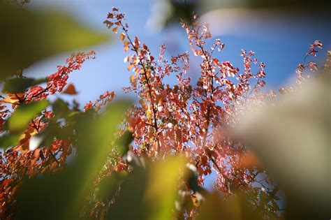 Чисто Земеделие Чиста Градина Facebook