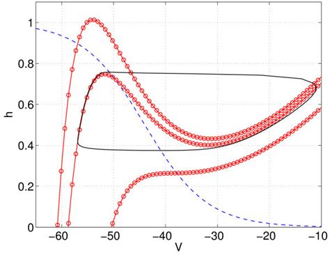 The Phase Plane For A Single Uncoupled Neuron H Nullcline Dashed On Download Scientific