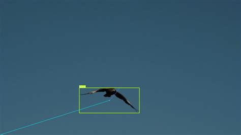 ai machinelearning computervision yolov11 visioneye bytetracker