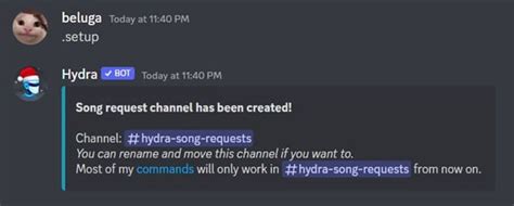 How To Add And Use Hydra Discord Music Bot CyberITHub