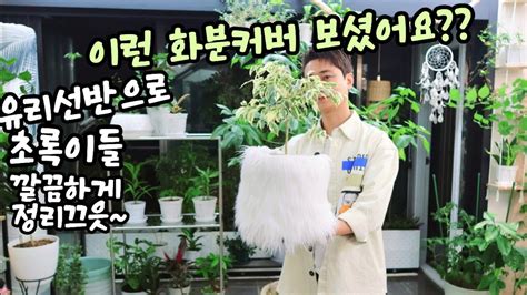 유리선반과 화분커버를 만들어 거실정원 꾸미기 식집사 식물키우기 Youtube