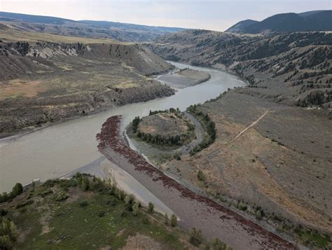 Very Few Sockeye Have Passed Chilcotin River Landslide Area Dfo Cbc News