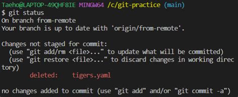 Git Working Directory Staging Area Repository