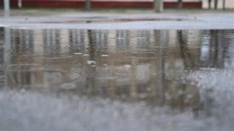 Small Raindrops Falling Into Big Puddle On Asphalt Road Rain Drops Splashing On Reflective