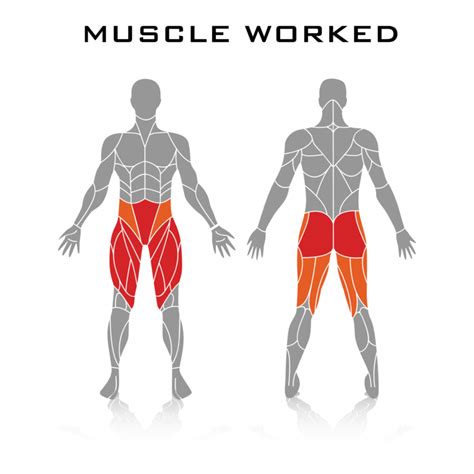 How To Do Flutter Kicks Form Muscles Worked And Techniques Squatwolf Ae