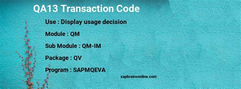Qa13 Sap Tcode For Display Usage Decision