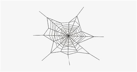 Corner Spider Web