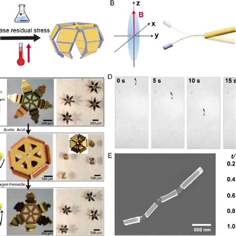 Pdf Soft Bio Microrobots Toward Biomedical Applications