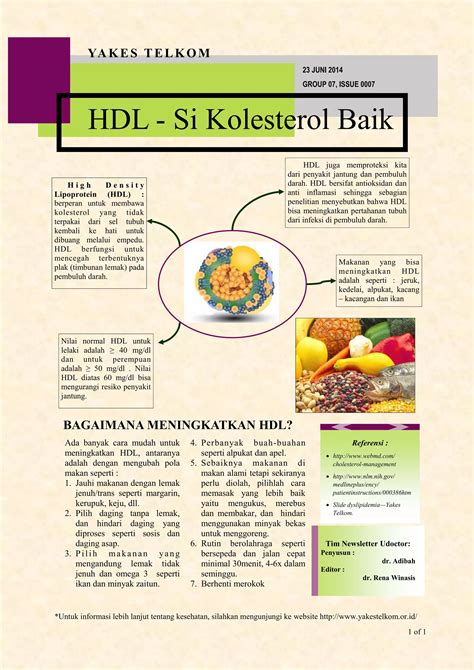 hdl pdf