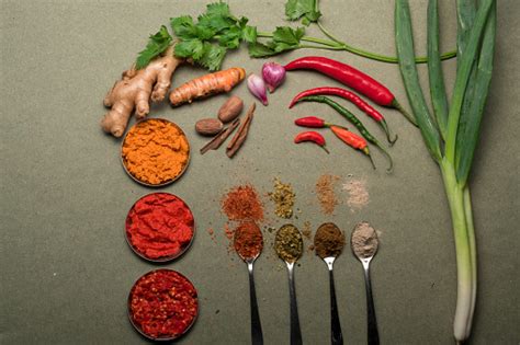 부추 셀러리 라임 잎 라임 촛불 계피 오렌지 껍질 정향 후추 고수풀 커민 칠리 심황 및 향신료 제도의 전형적인 건조 향신료 분말