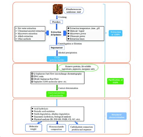 Schematic Diagram Of Extraction Purification And Structural Download Scientific Diagram