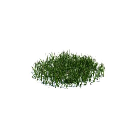 Simple Grass Medium V3 3d Model Download Grass On