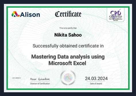 Dataanalysis Microsoftexcel Skillsdevelopment Nikita Sahoo