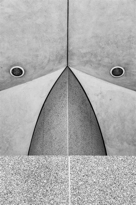 Big Bird Watching Photograph By David Ediger Fine Art America