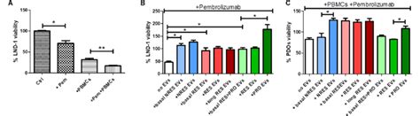 circulating evs affect the response to pembrolizumab in braf wt mm