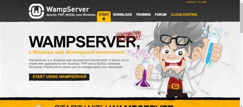 5 Best Local Wordpress Development Environments Easy Setup