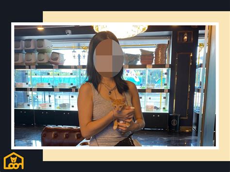 코리안숏헤어 책임분양 대구강아지가정분양 노르웨이숲분양 천안강아지분양 이탈리안그레이하운드분양 댕댕이 털잘안빠지는강아지 포메라니안가격 보더콜리분양가 빅토리아펫보호소 입양완료