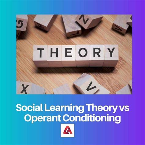 Operant Conditioning Theory