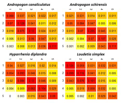 Elasticity Matrices For The Average Matrix Models Of The Four Species