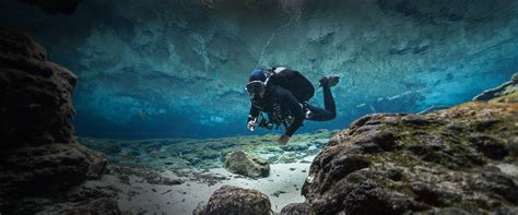 Alpha Diving