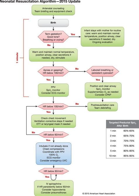 Aha 2015 Neonatal Resuscitation Algorithm Neonatal Pediatric Nursing