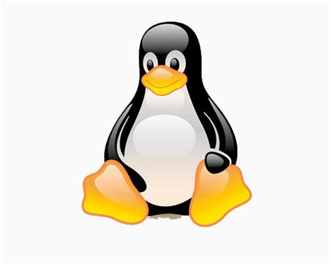 Setting Up A Linux Workstation For Software Development · Tkainrad