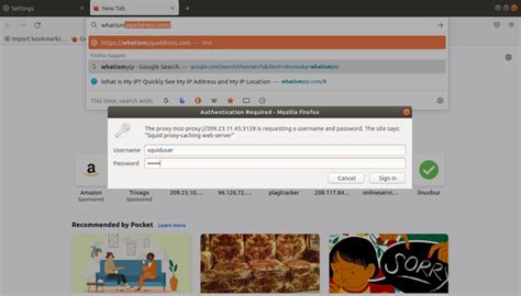 install and configure squid proxy on arch linux guide