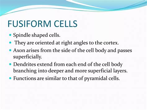 Histology Of Cerebral Cortex Pptx