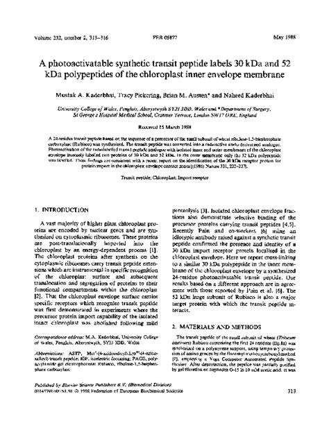 Pdf A Photoactivatable Synthetic Transit Peptide Labels 30 Kda And 52 Kda Polypeptides Of The