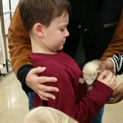 Agikgqni Dkbpzxtsgdiwcy95vlrjf1jainlcwps89ss900 C K C0x00ffffff No Rj