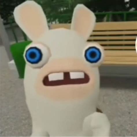 Pin By Mantha On Funny Cute Memes Rabbit Invasion Aesthetic Silly