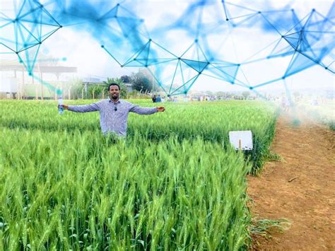 Ebrahim Seid On Linkedin Haramayauniversity Smartfarming